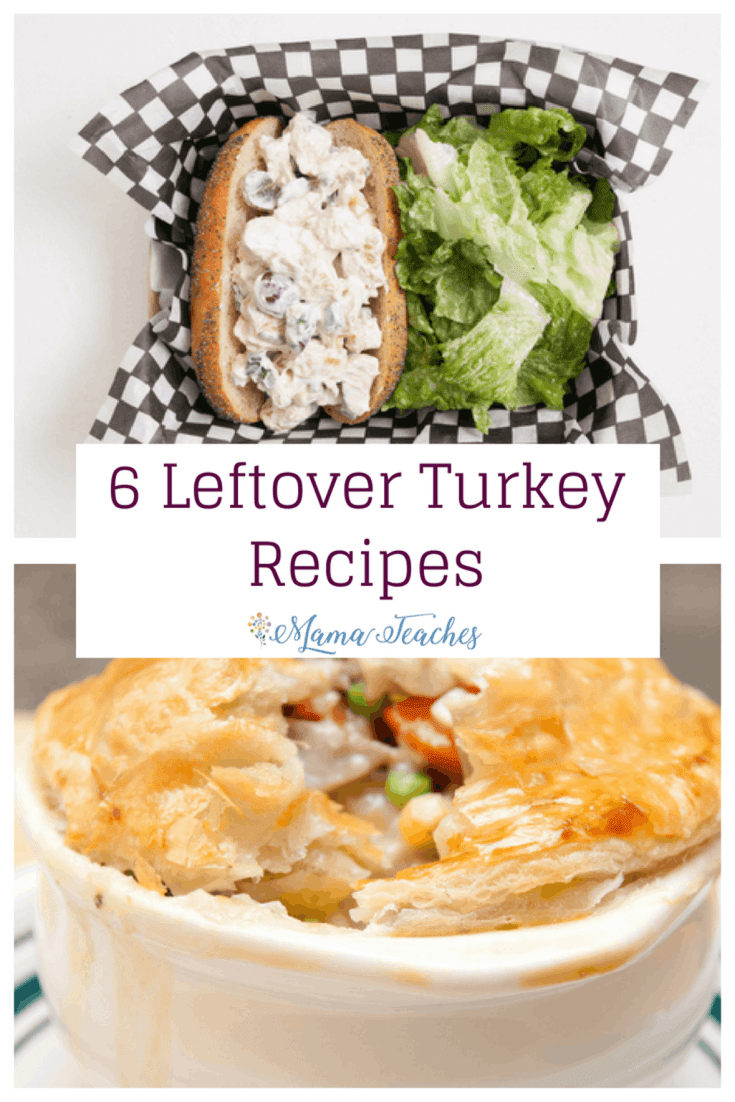 6 Leftover Turkey Recipes for Anytime of Year - Mama Teaches
