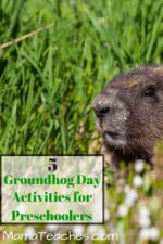 5 Groundhog Day Lessons for Preschool - Mama Teaches