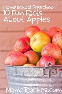 Apple Facts: All About Apples – Fun Facts for Kids - Mama Teaches
