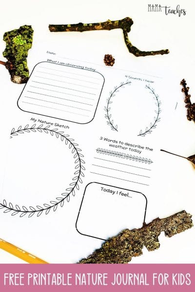 How to Start a Nature Journal with Kids - Mama Teaches