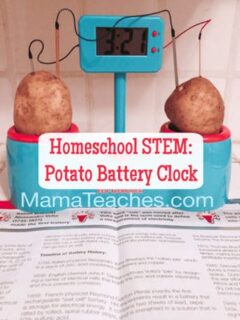 Homeschool STEM Time! Make an Easy Potato Clock - Mama Teaches