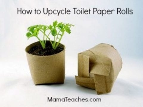 How To Upcycle Toilet Paper Rolls - Mama Teaches