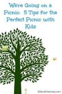We’re Going on a Picnic: 5 Tips for the Perfect Picnic with Kids - Mama ...
