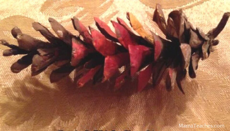 Minecraft Science Lesson Ideas for Kids - Mama Teaches