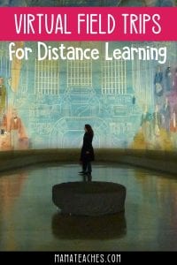 20+ Virtual Field Trip Ideas for K-12 - Mama Teaches