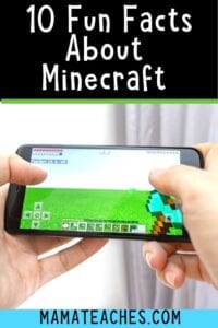10 Fun Facts About Minecraft for Kids - Mama Teaches