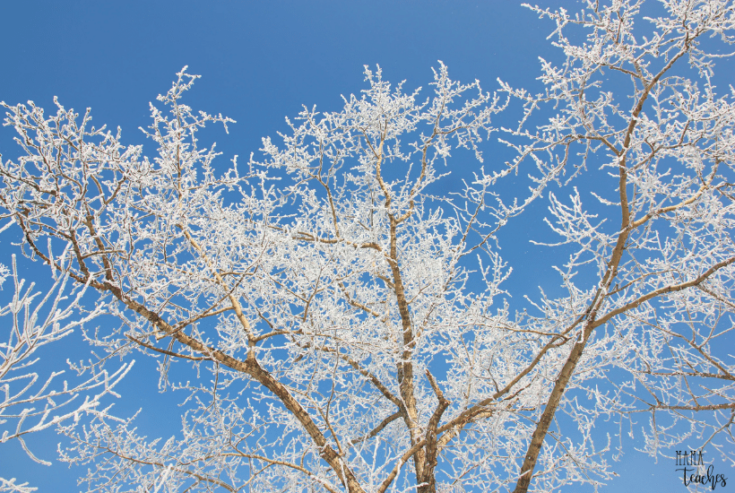 Weird Holidays in January for Kids and Adults - Mama Teaches