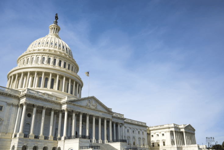 Fun Facts About Washington, D.C. - Mama Teaches