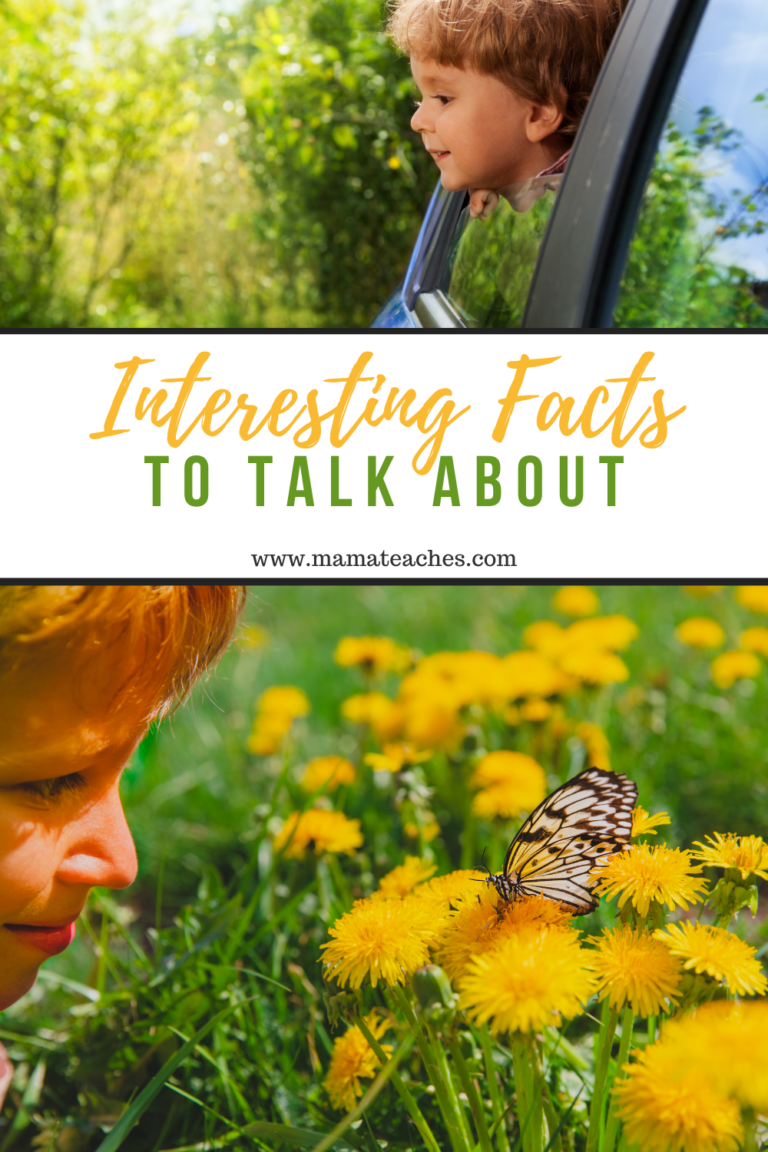 Interesting Facts to Talk About with Kids - Mama Teaches