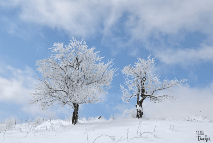 25 Winter Would You Rather Questions for Kids - Mama Teaches