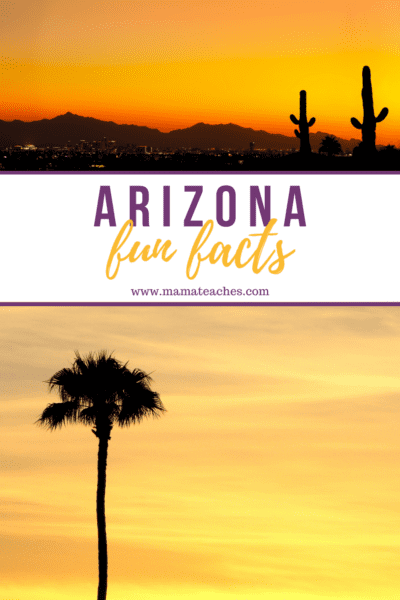 Arizona Fun Facts for Kids of All Ages - Mama Teaches