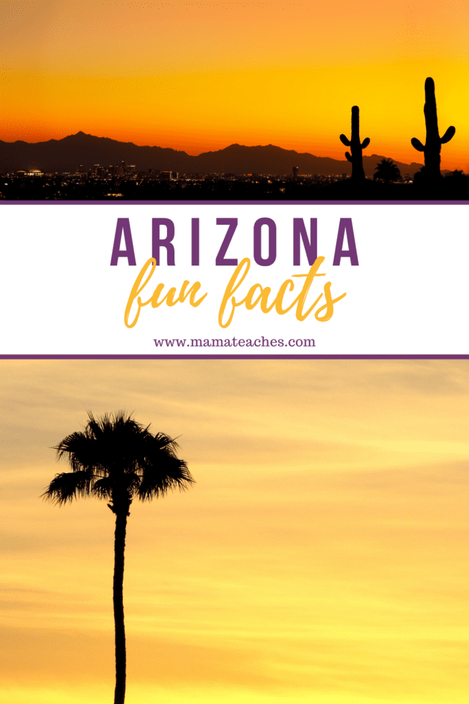 Arizona Fun Facts for Kids of All Ages - Mama Teaches