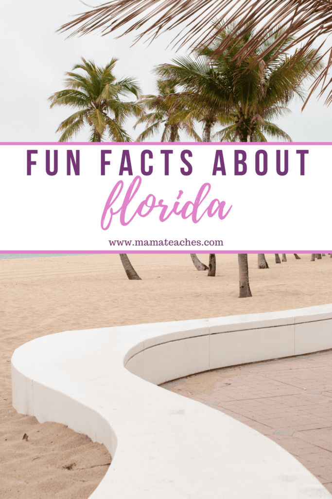 Fun Facts About Florida: State Facts for Kids - Mama Teaches