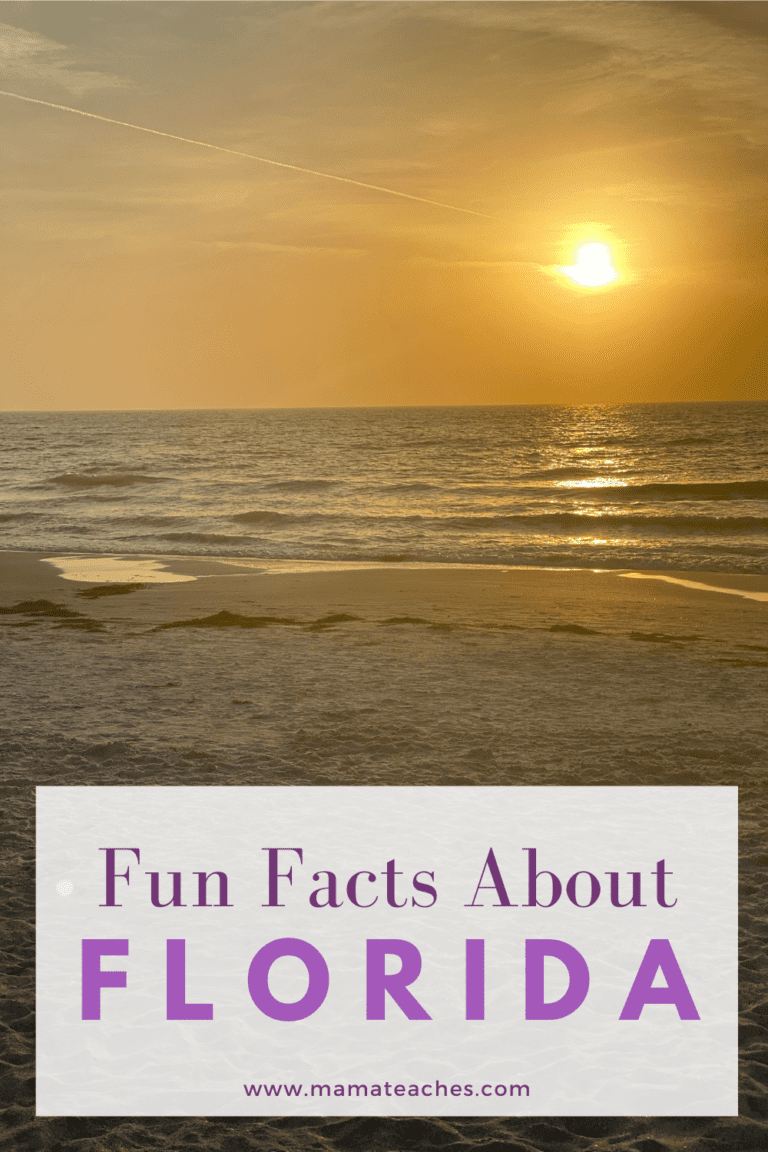 Fun Facts About Florida: State Facts for Kids - Mama Teaches