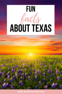 Fun Facts About Texas: State Facts for Kids - Mama Teaches