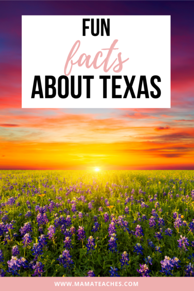 Fun Facts About Texas: State Facts for Kids - Mama Teaches