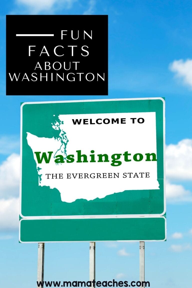 Fun Facts About Washington State - Mama Teaches