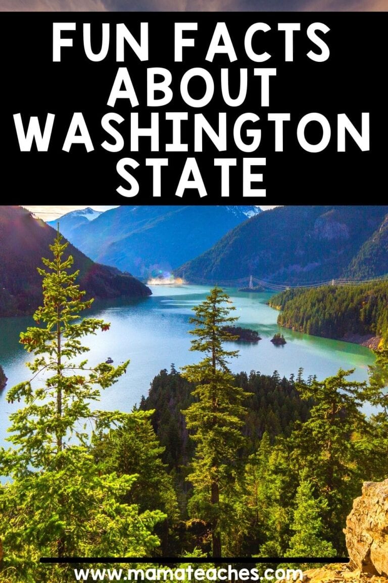 Fun Facts About Washington State - Mama Teaches