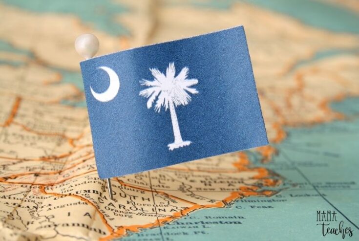 Fun Facts About South Carolina: State Facts for Kids - Mama Teaches