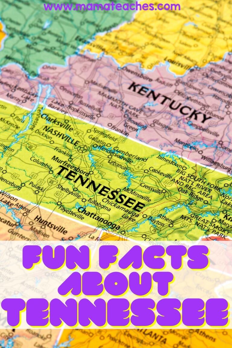 Fun Facts About Tennessee : State Facts - Mama Teaches