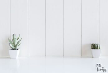 DIY Desk Pets Your Students Will Love - Mama Teaches