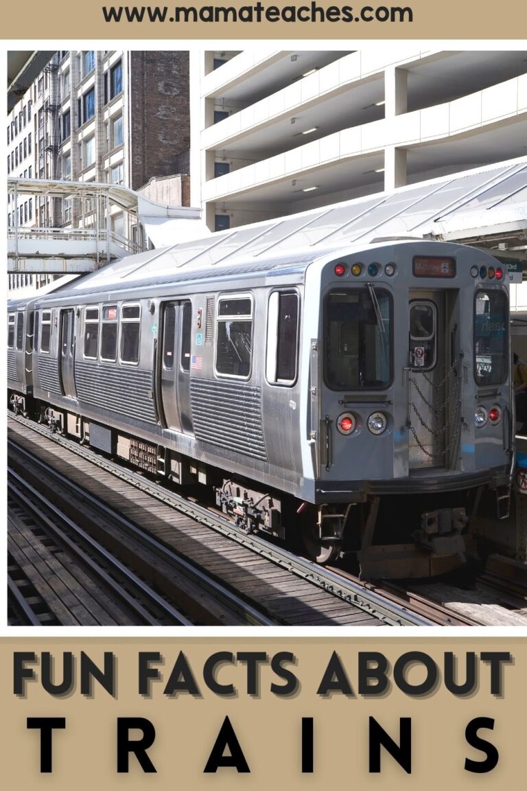 Fun Facts About Trains - Mama Teaches
