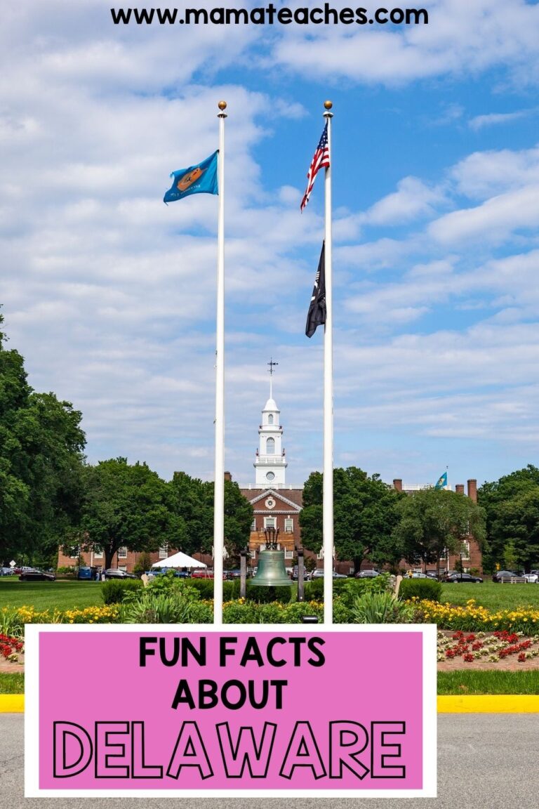 Fun Facts About Delaware - Mama Teaches