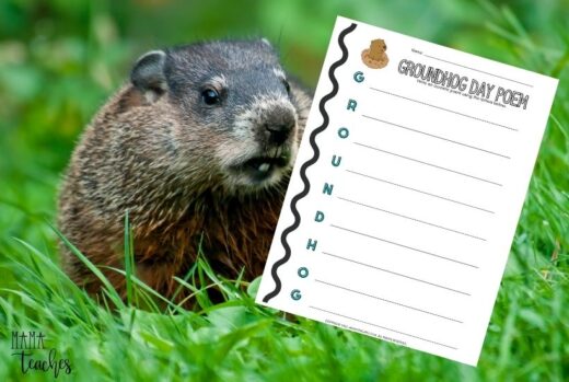 Free Groundhog Day Acrostic Poem Template - Mama Teaches