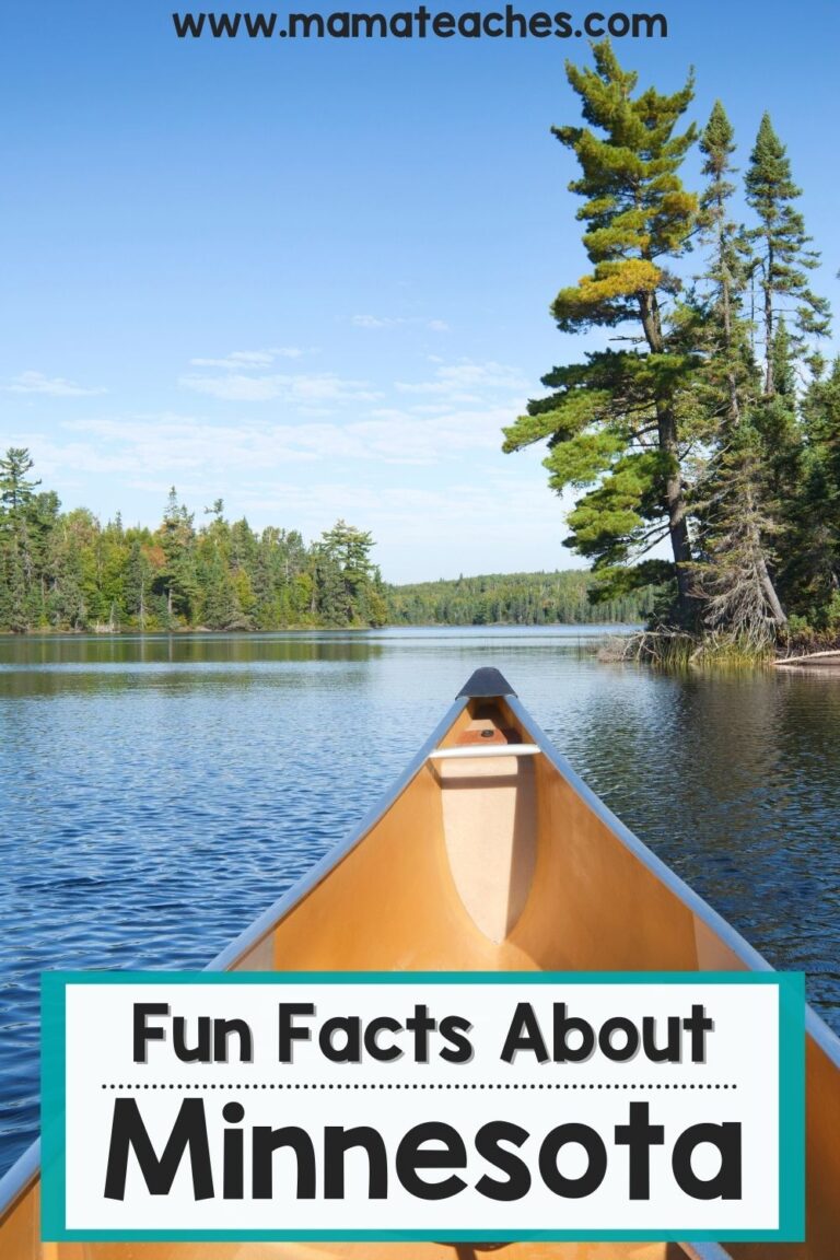 Minnesota Fun Facts - Mama Teaches