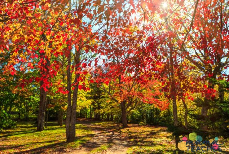 25 Fall Writing Prompts for Elementary Kids - Mama Teaches