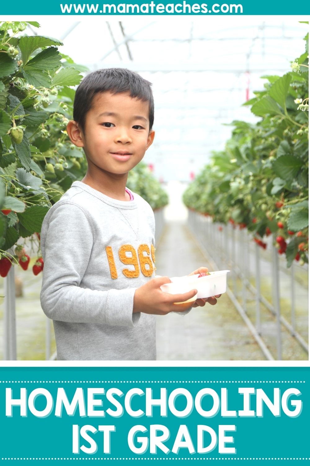 Homeschooling 1st Grade - Mama Teaches