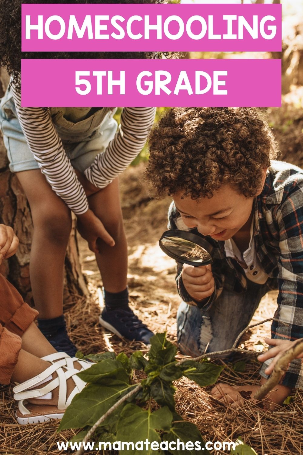 Homeschooling 5th Grade - Mama Teaches