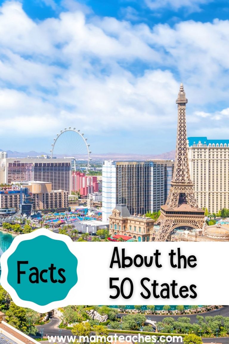Facts About the 50 States - Mama Teaches
