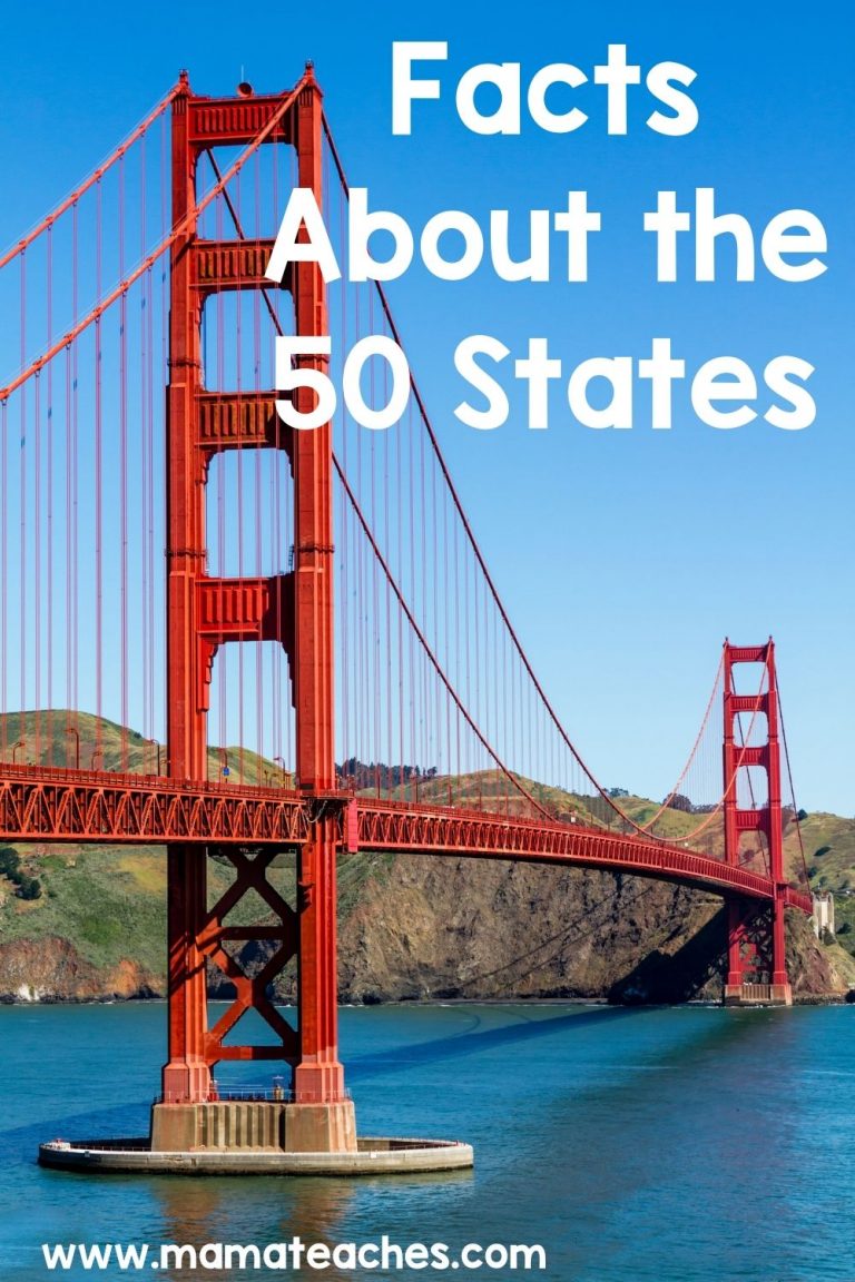 Facts About the 50 States - Mama Teaches