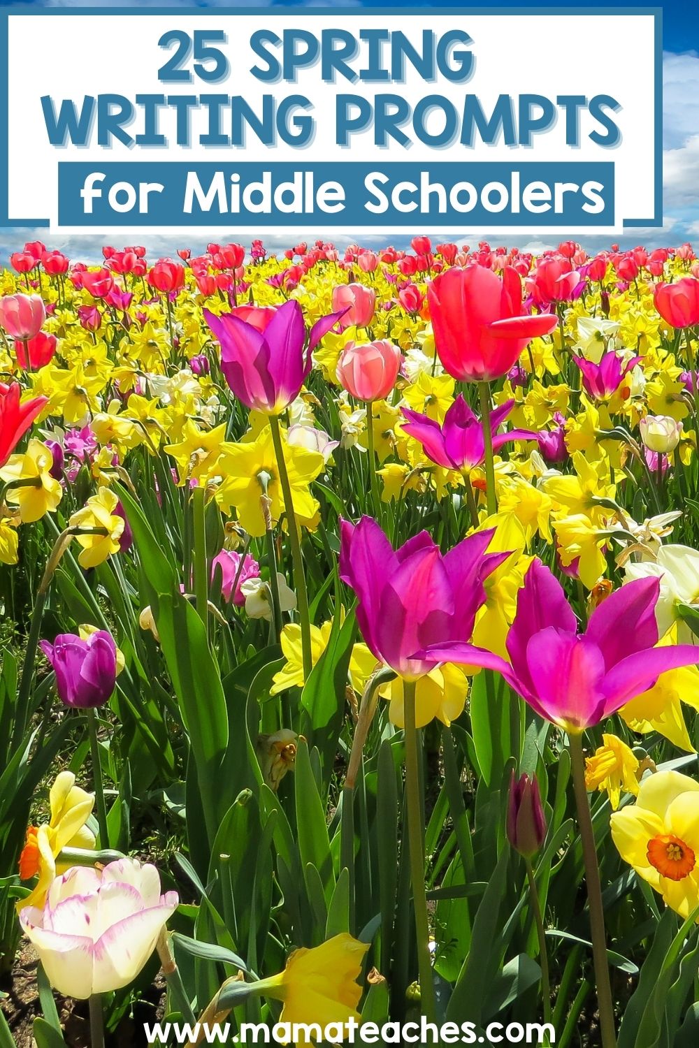 25 Spring Writing Prompts for Middle Schoolers - Mama Teaches