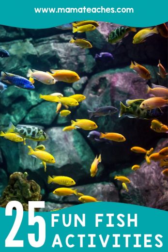 25 Fun Fish Activities - Mama Teaches