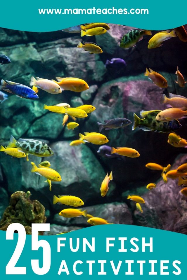 25 Fun Fish Activities - Mama Teaches