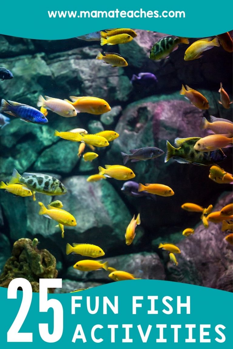 25 Fun Fish Activities - Mama Teaches