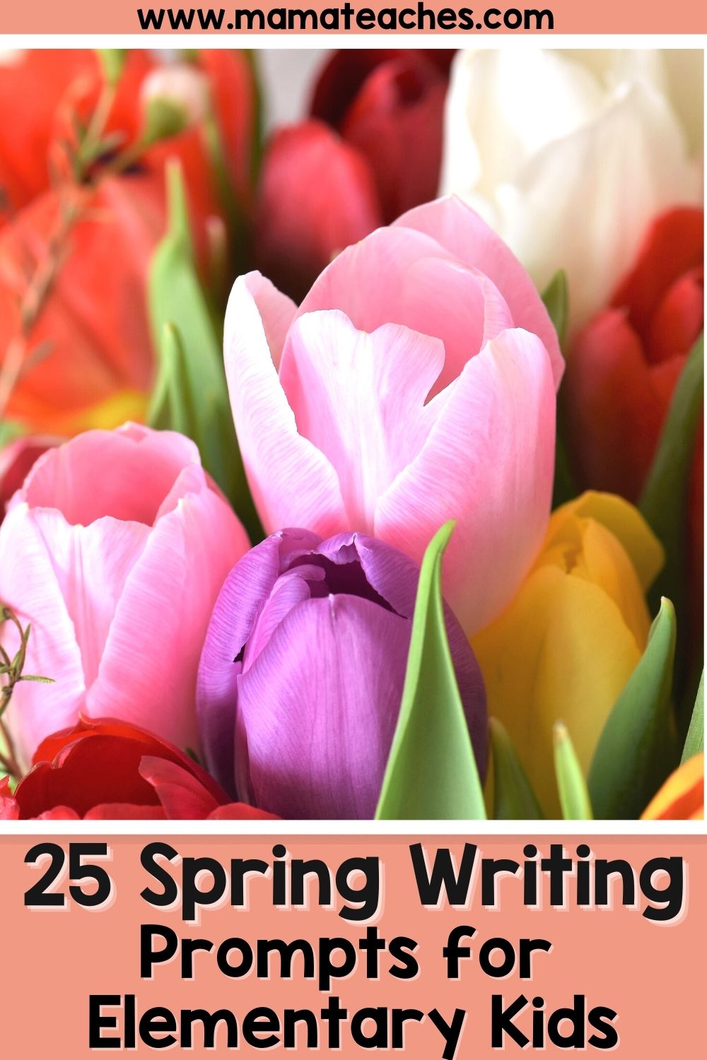 25 Spring Writing Prompts for Elementary Kids - Mama Teaches