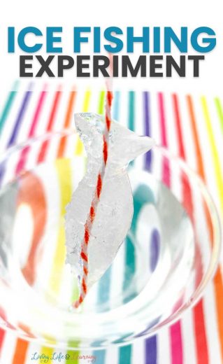 25 Fun Fish Activities - Mama Teaches