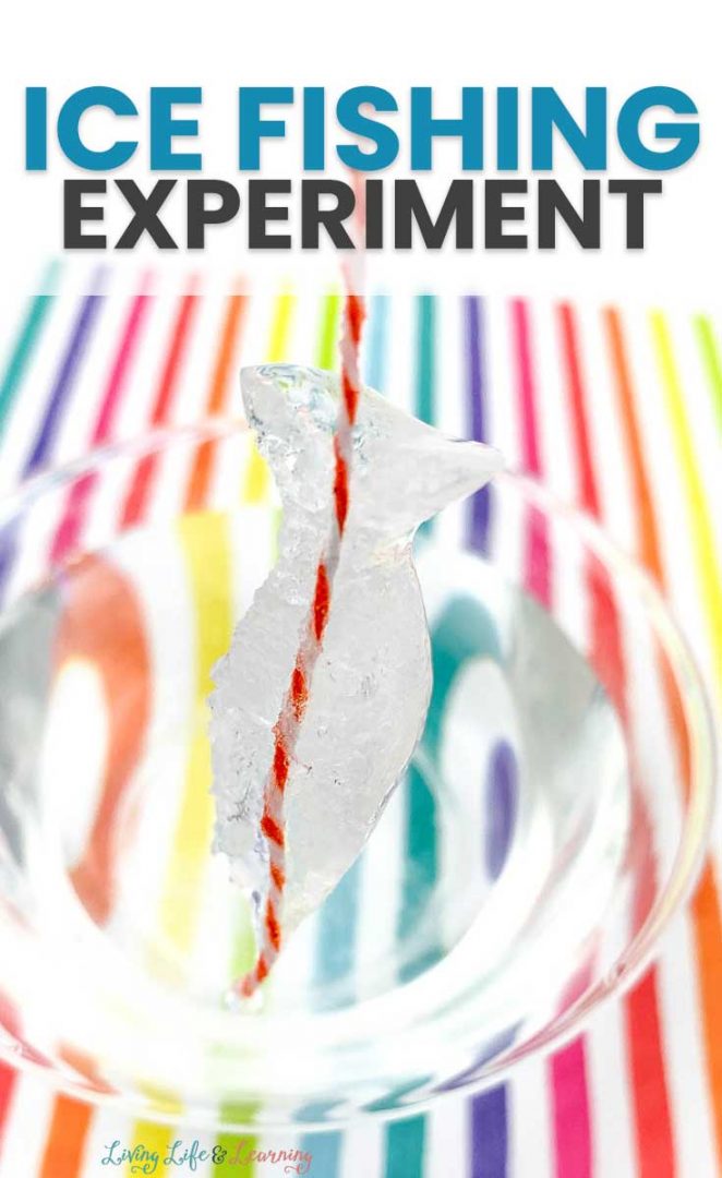 25 Fun Fish Activities - Mama Teaches