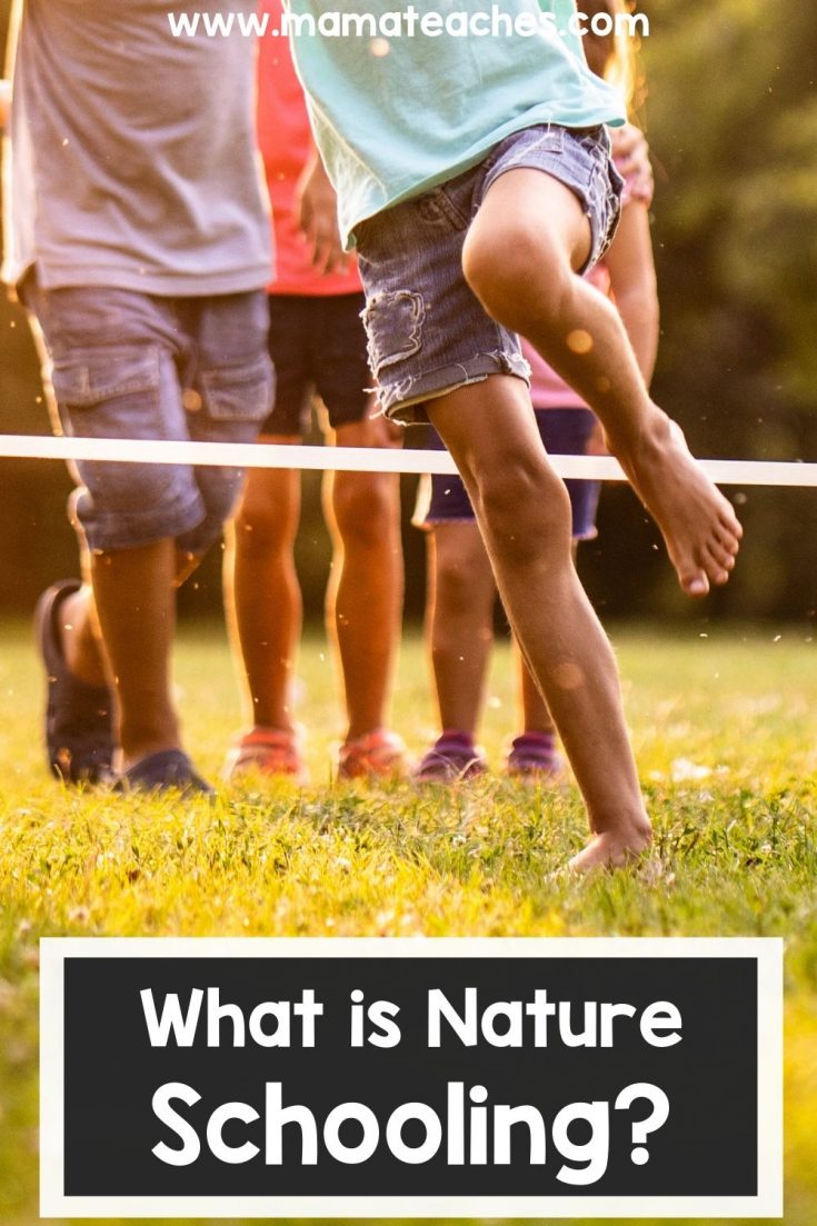 What Is Nature Schooling? - Mama Teaches