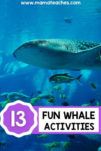 13 Fun Whale Activities - Mama Teaches