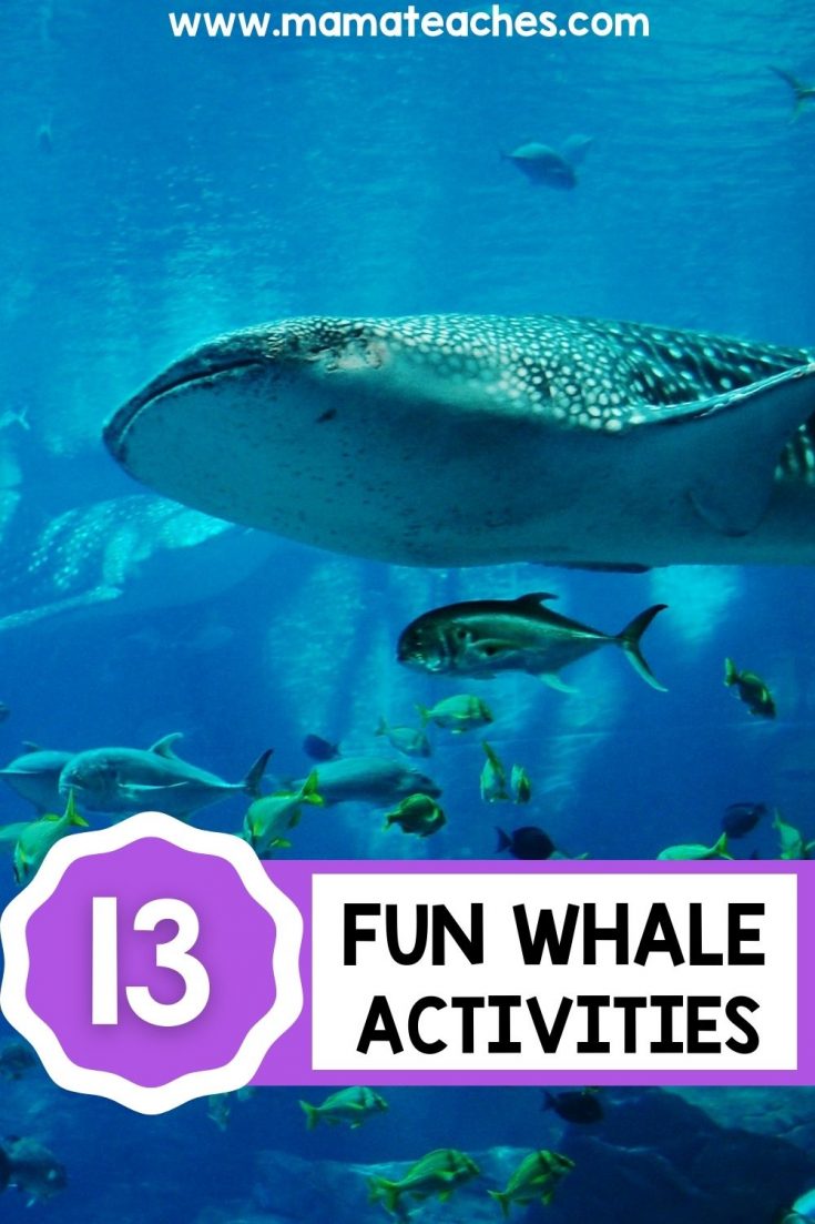 13 Fun Whale Activities - Mama Teaches