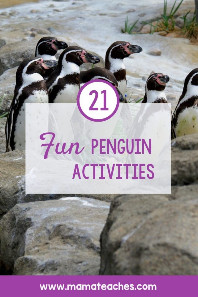 21 Fun Penguin Activities - Mama Teaches