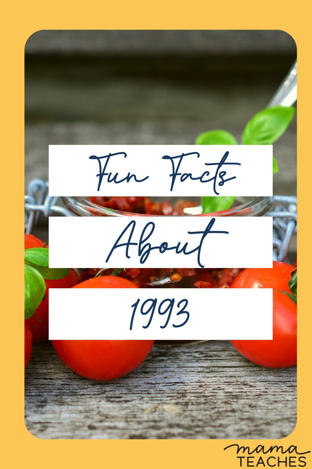 Fun Facts About 1993 - Mama Teaches
