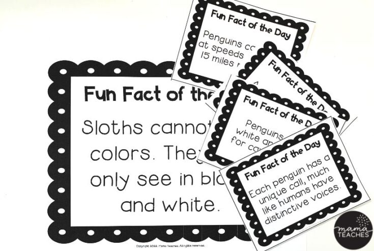 How a Fun Fact of the Day Can Build Classroom Community - Mama Teaches