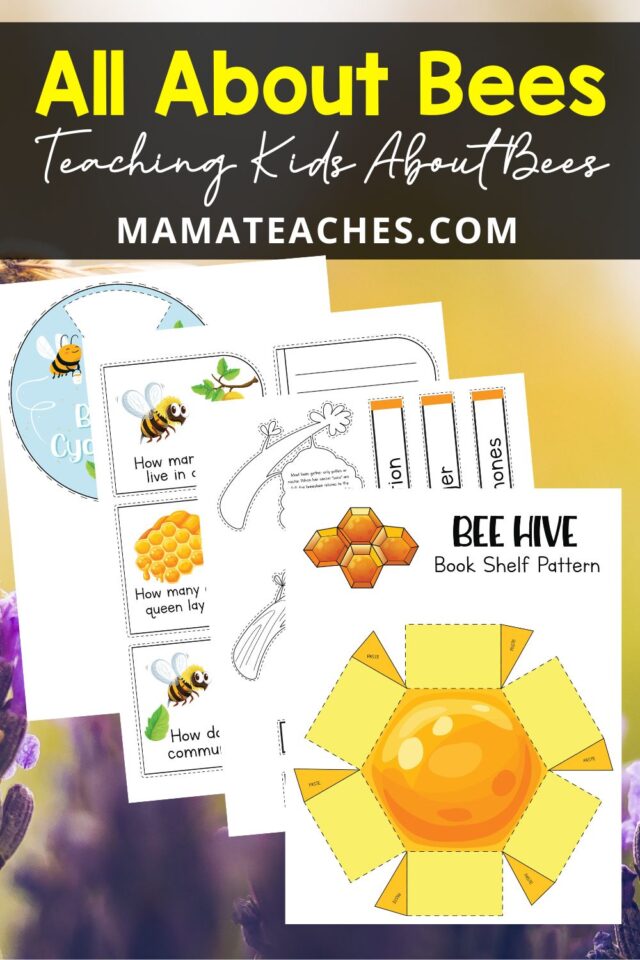 All About Bees: Teaching Kids About Bees - Mama Teaches