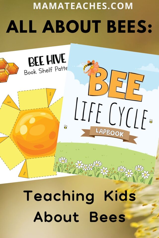 All About Bees: Teaching Kids About Bees - Mama Teaches