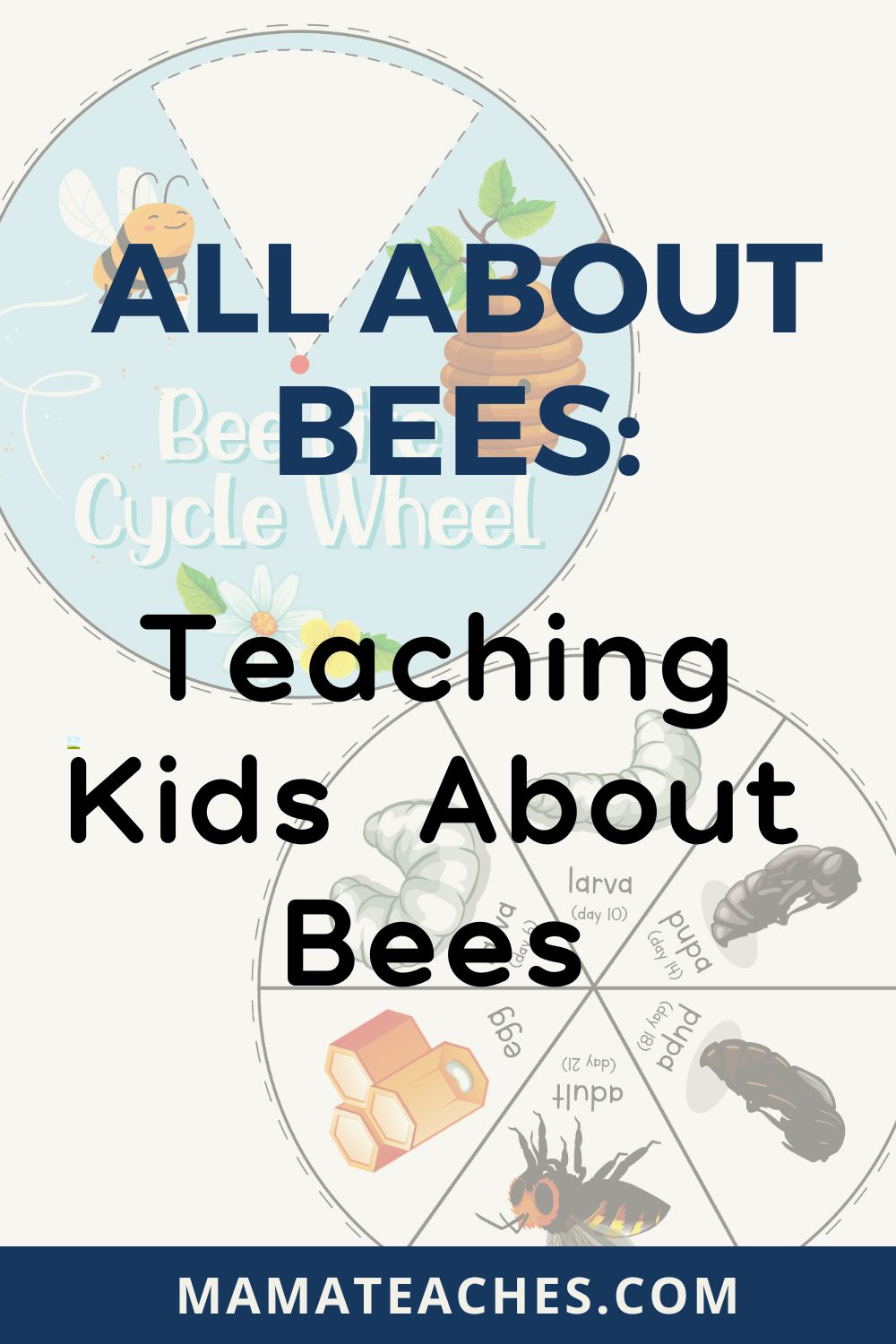 All About Bees: Teaching Kids About Bees - Mama Teaches